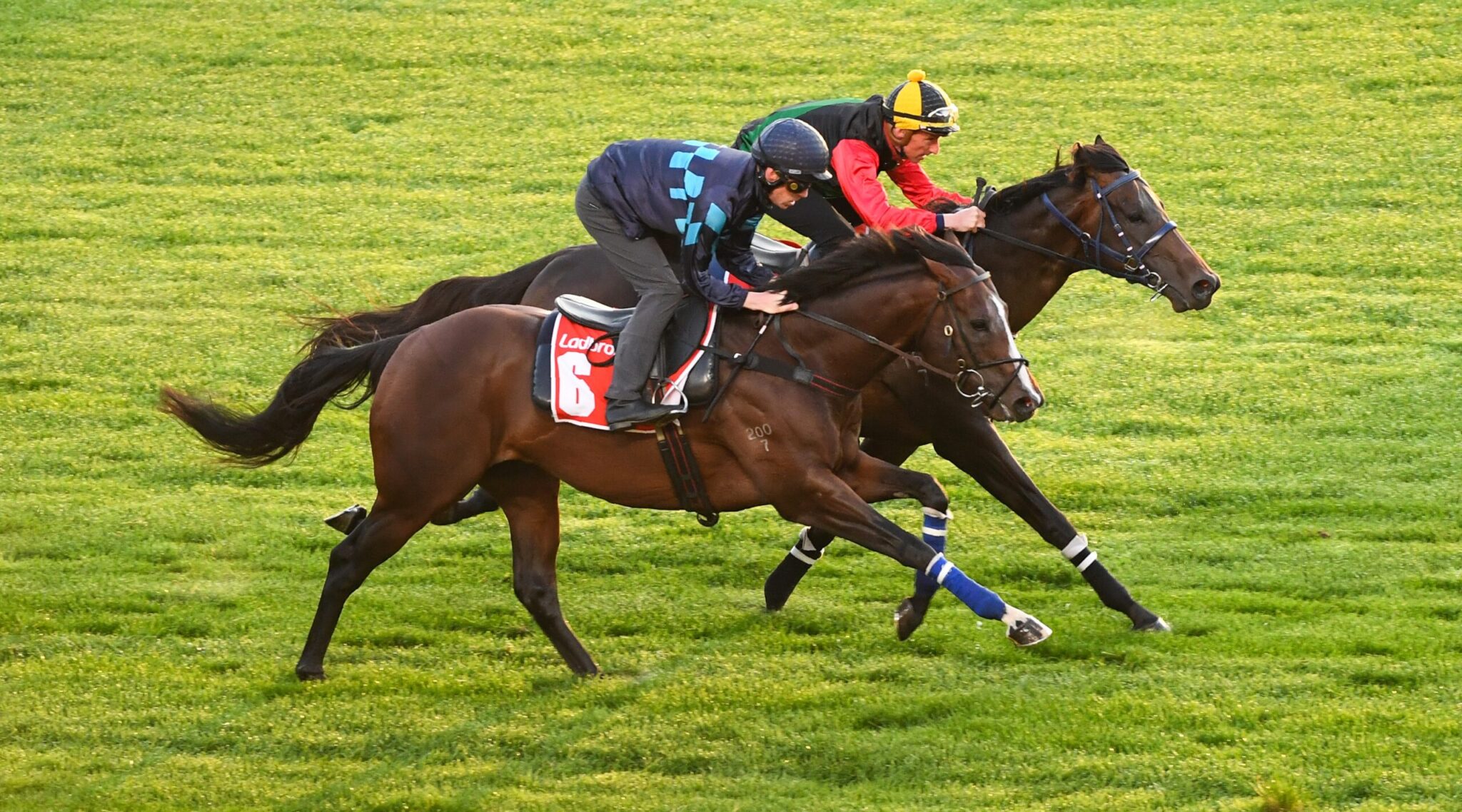 Horse Racing Laws: Most Important Rules to Protect the Integrity of the Sport - Vxchnge