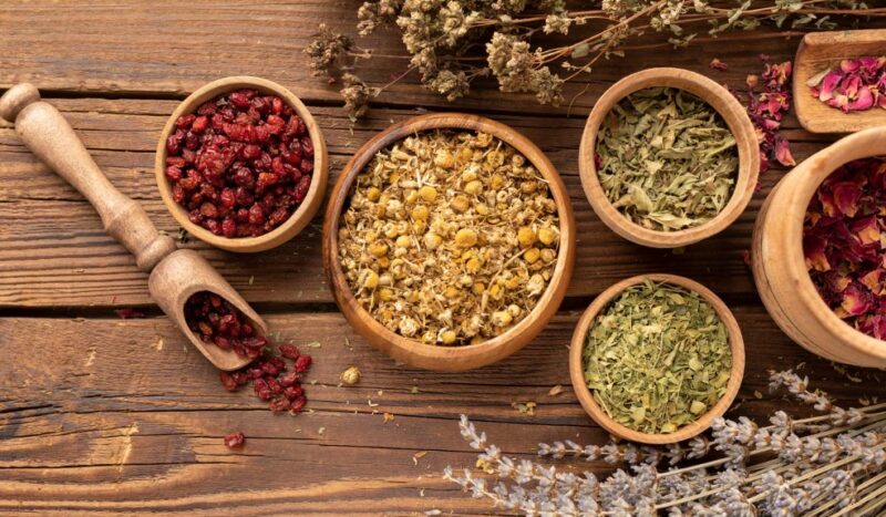 Exploring Natural Herbs for Energy and Focus ─ A Comprehensive Guide ...